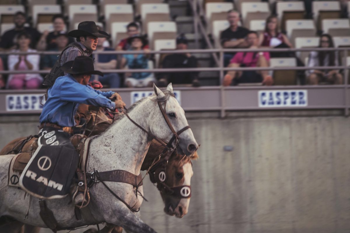 RAM Pickup Man : Clint Humble at Central Wyoming PRCA Rodeo