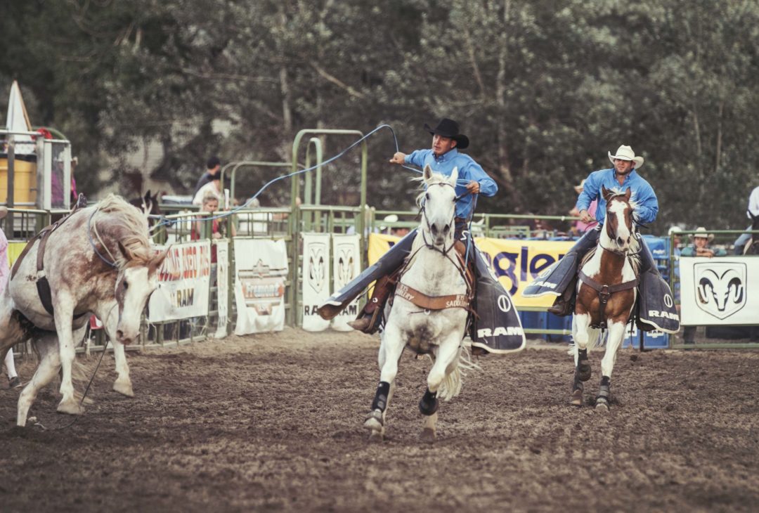 RAM Pickup Man : Clint Humble at Central Wyoming PRCA Rodeo