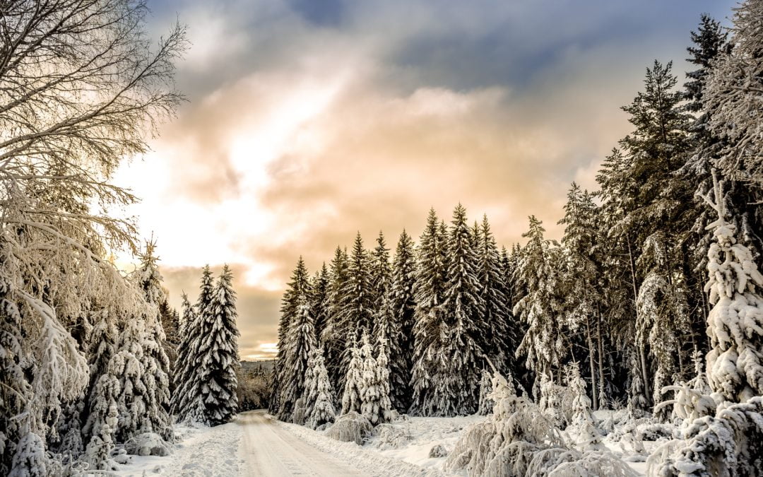 Pros and Cons of Changing to Winter Wheels - Trusted Auto Professionals Pros and Cons of Changing to Winter Wheels - Trusted Auto Professionals
