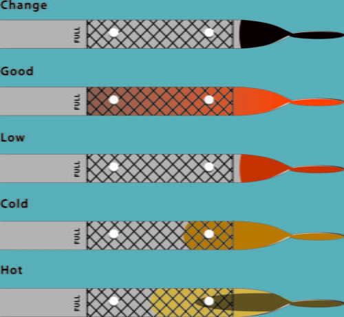 Watch: How to Check Your Oil Levels - Trusted Auto Professionals