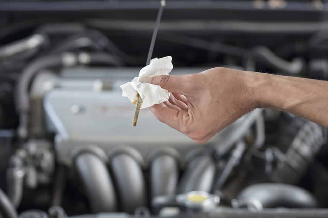 Watch: How to Check Your Oil Levels - Trusted Auto Professionals