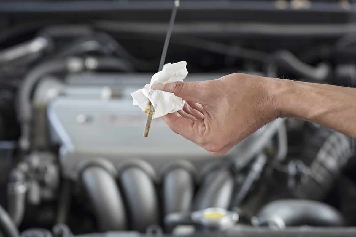 Watch: How to Check Your Oil Levels - Trusted Auto Professionals